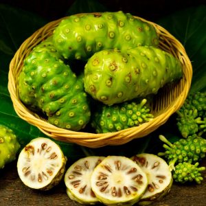 Mengkudu Buah Pahit yang Super Manfaatnya - Tara Nature